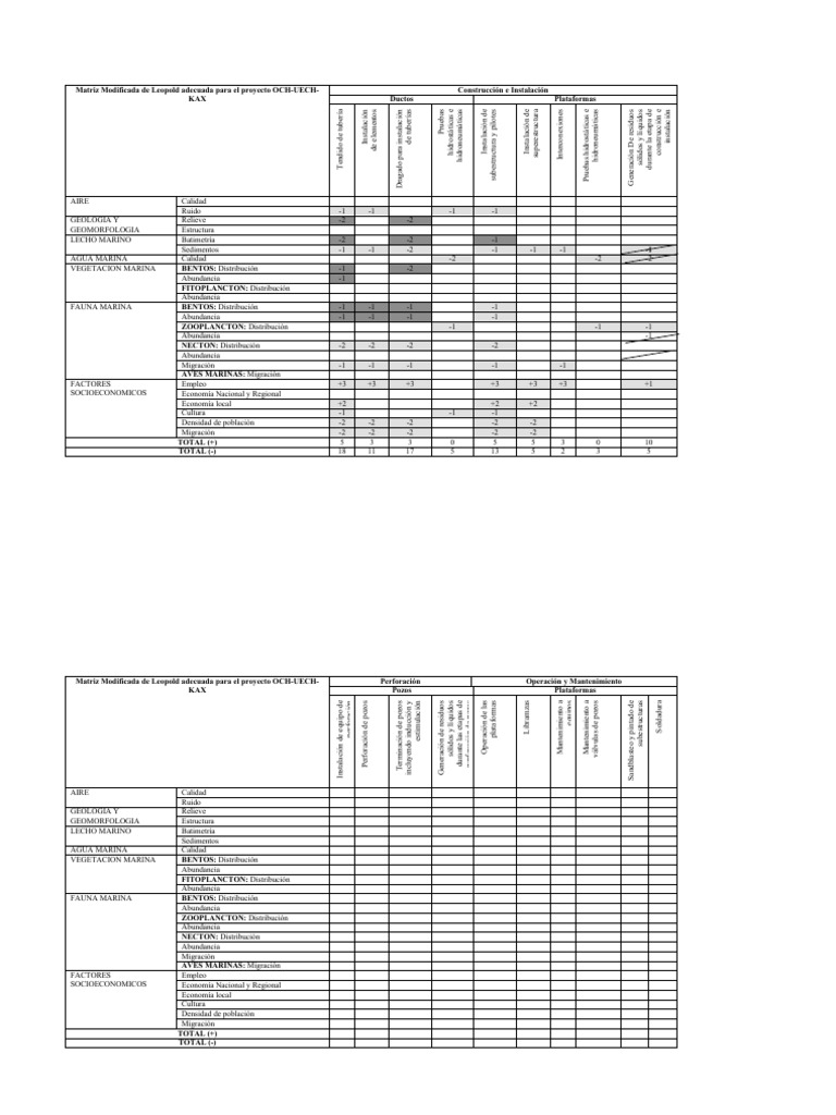 7e Matriz Modificada de Leopold Adecuada para El Proyecto OCH | PDF ...