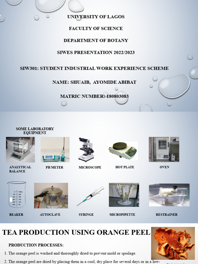 Siwes Presentation | PDF