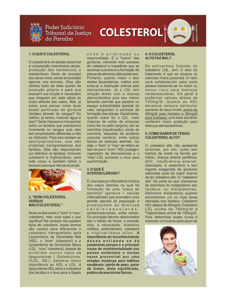 Cartilha Colesterol | PDF