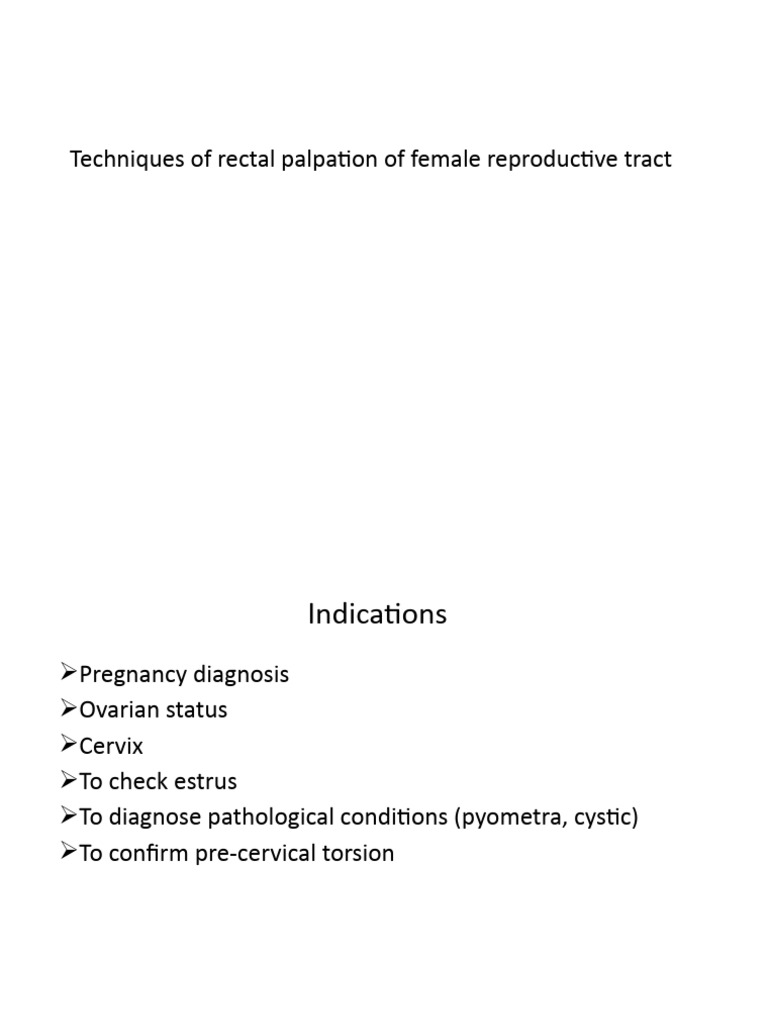 UG PRACTICAL - Rectal Examination | PDF