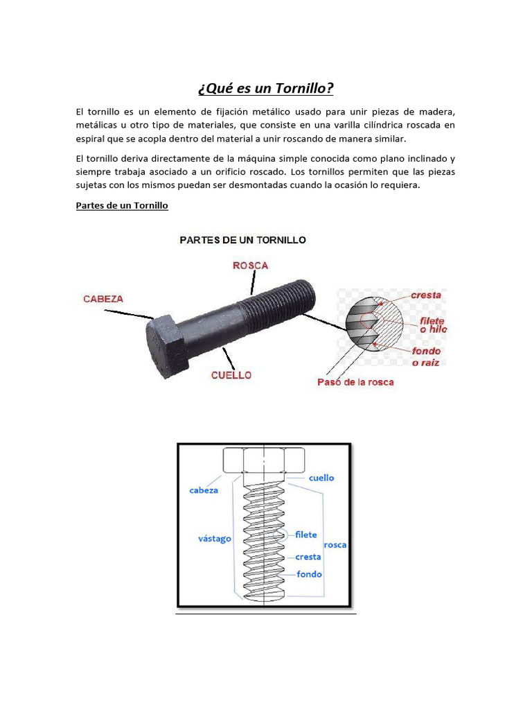 Guía Completa sobre Tornillos y sus Tipos | PDF | Tornillo | Metalurgia