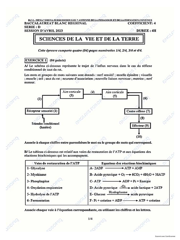 SVT Sujet - Corriger BAC D | PDF