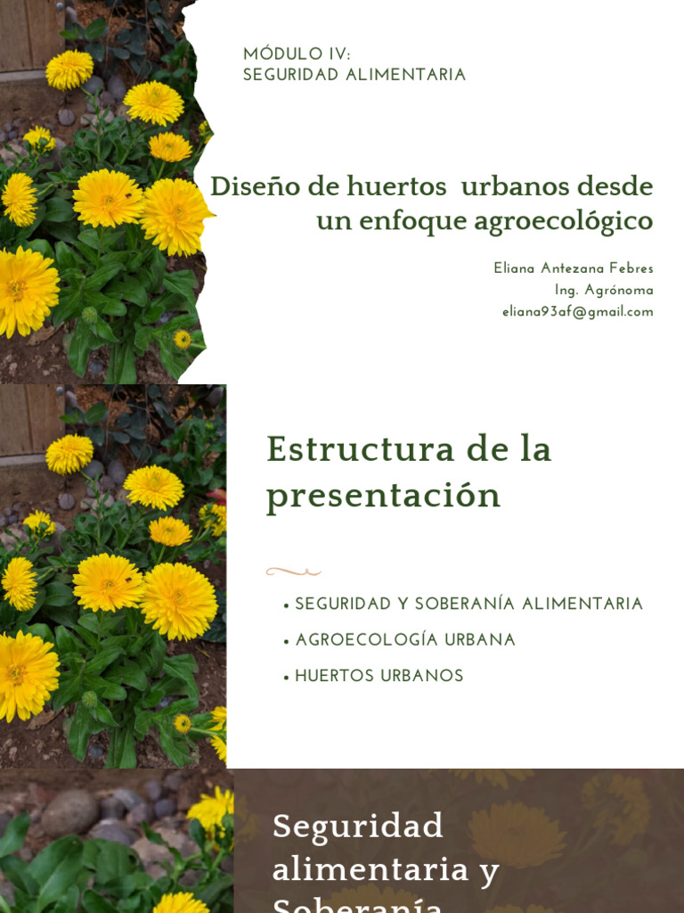 Diseño de Huertos Urbanos Agroecológicos | PDF | Agroecología | Alimentos