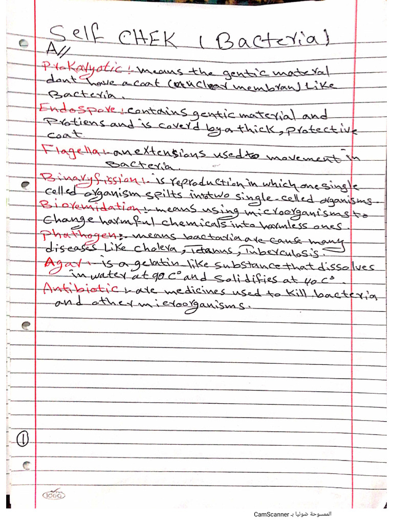 Self Check.. Bacteria | PDF