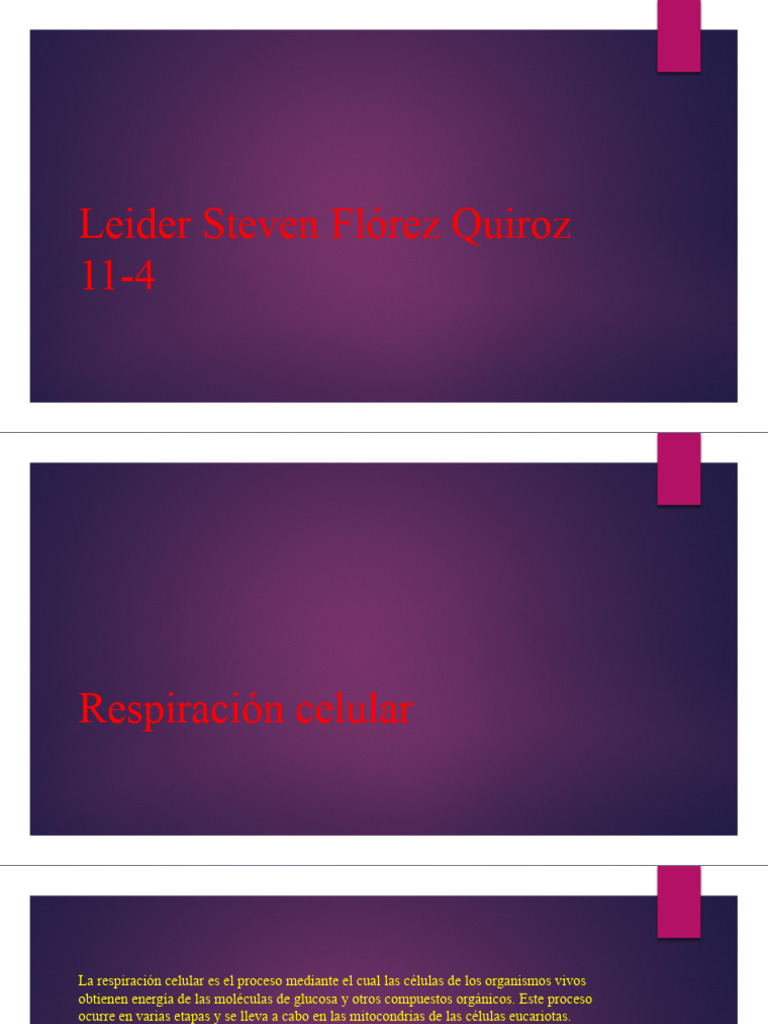 Leider Steven Flórez Quiroz 11-4 | PDF | Dieta y nutrición | Química