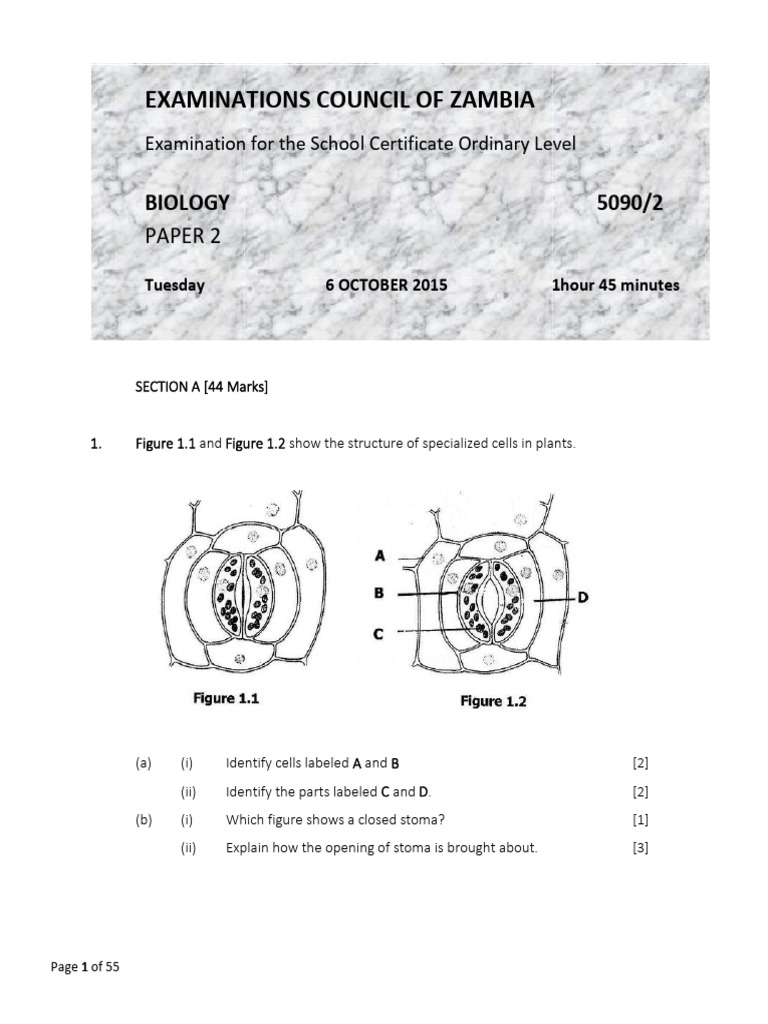 Biology 10 -12 | PDF | Dominance (Genetics) | Biology