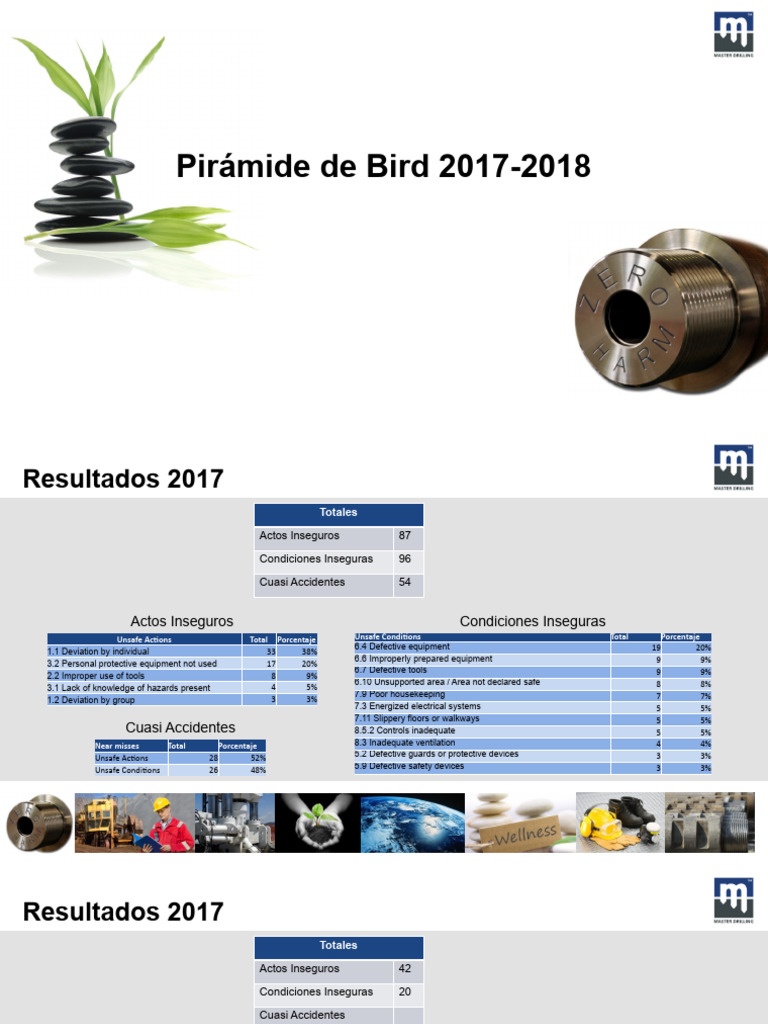 Pirámide de Bird 2017-2018 | PDF | Personal Protective Equipment | Safety