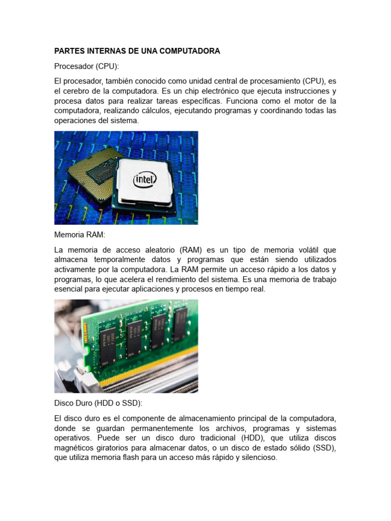 PARTES INTERNAS DE UNA COMPUTADORA | PDF | Almacenamiento de datos de ...