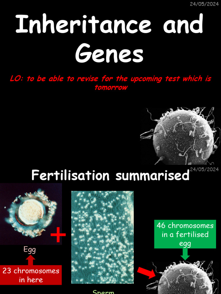 Inheritance and Genes | Download Free PDF | Dominance (Genetics) | Zygosity