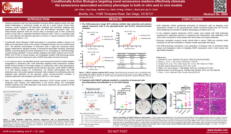 Poster 2969 AACR 2024 Senescence | PDF | Antibody | Inflammation