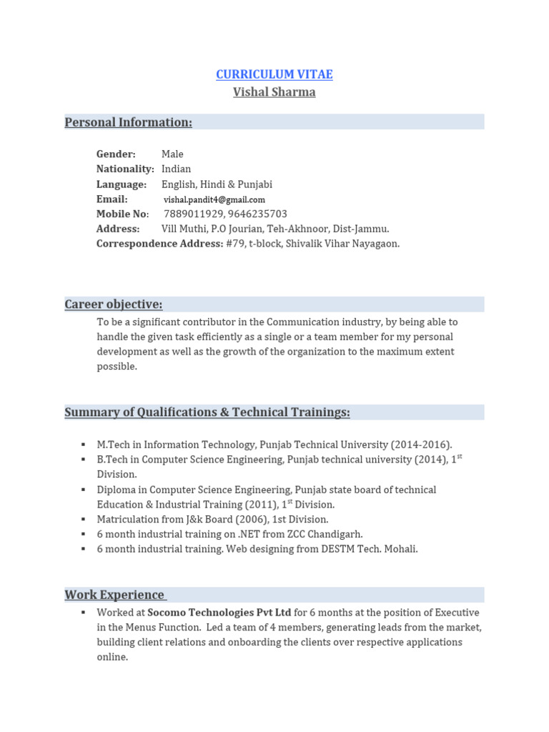 Vishal CV-Vish | PDF | Microsoft Windows | Microsoft Office
