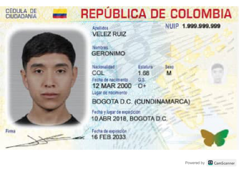 Cedula Falsa | PDF