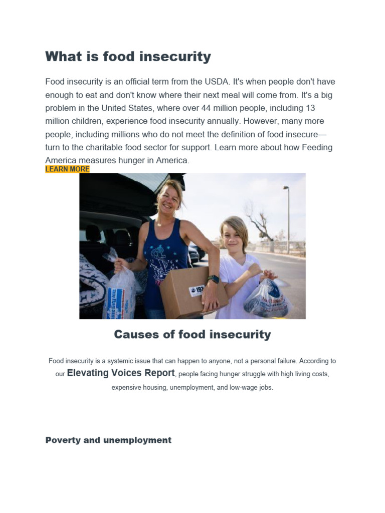 What Is Food Insecurity | PDF | Cost Of Living | Food Security