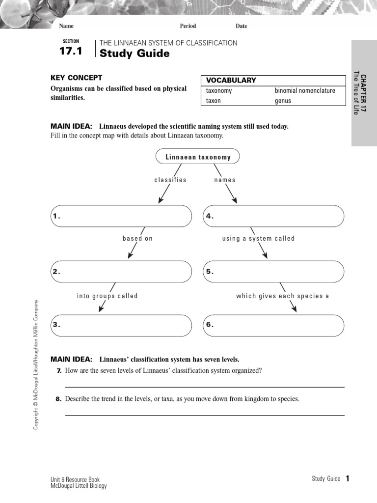 17.1. The Tree of Life CHAPTER 17. Organisms Can Be Classified Based On ...