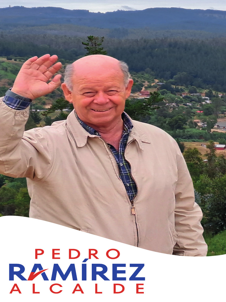 Paloma 80x140 Pedro Ramírez | PDF