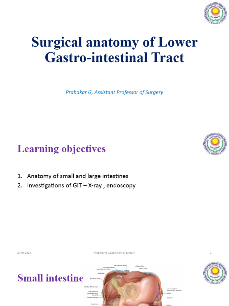 Lower GI | PDF | Gastrointestinal Tract | Large Intestine