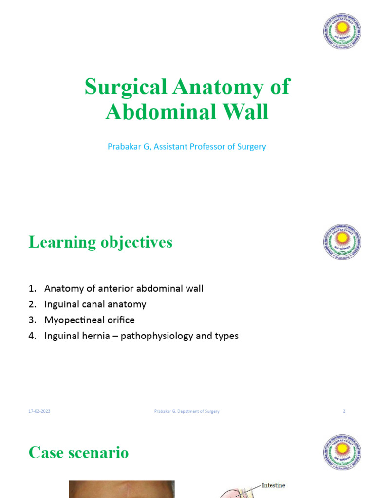 1.abdominal Wall Anatomy | PDF | Abdomen | Anatomy