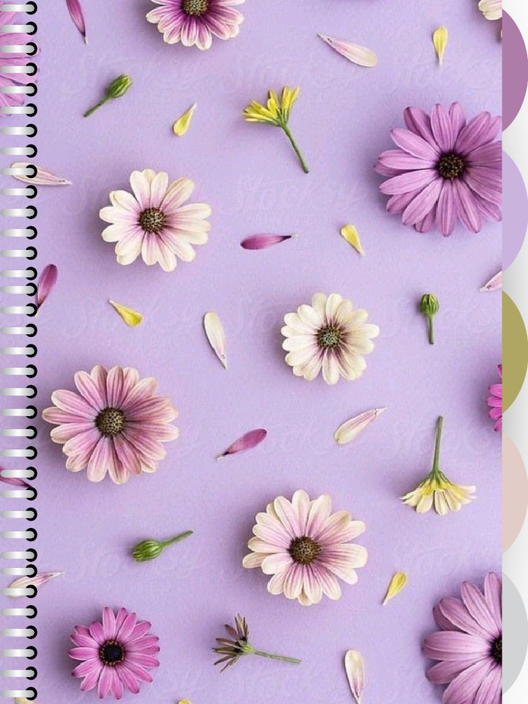 Michelle Fernandes | PDF | Art