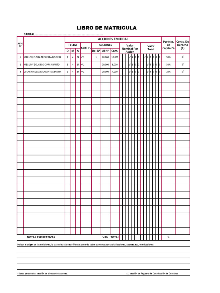 Libro de Matricula de Acciones | PDF