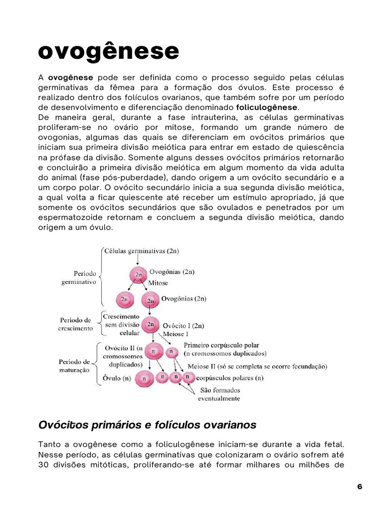 Entendendo a Ovogênese e Foliculogênese | PDF | Hormônio luteinizante ...