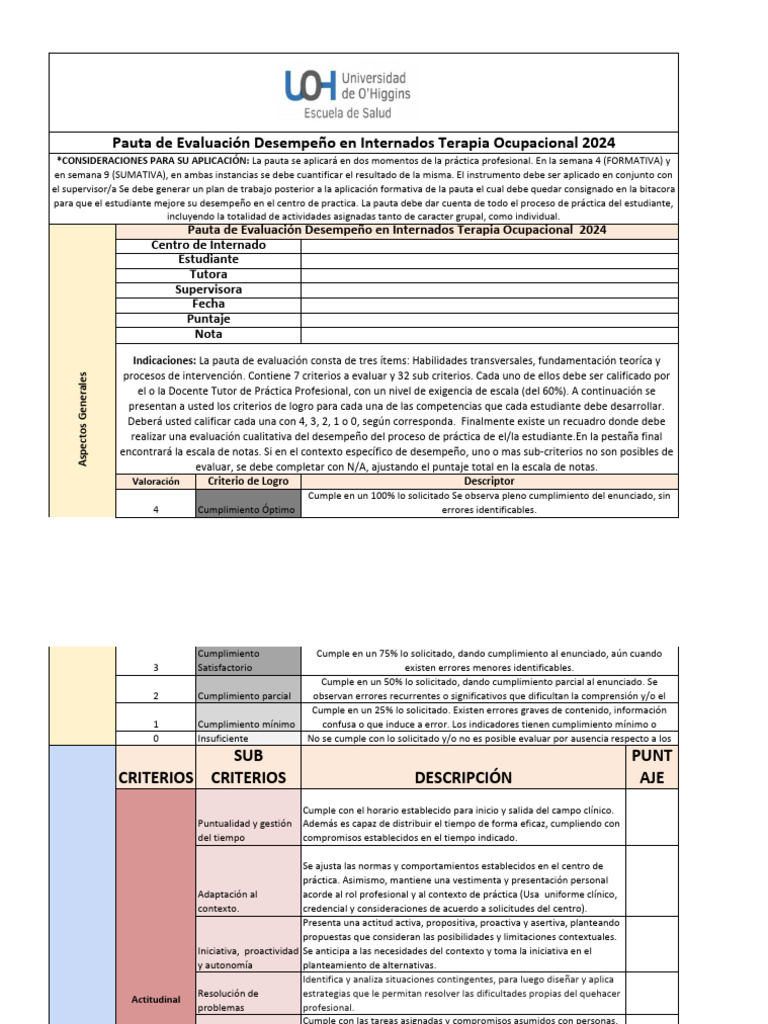 Pauta de Evaluaci N Desempe o en Internados Terapia Ocupacional 2024 | PDF | Terapia ocupacional ...