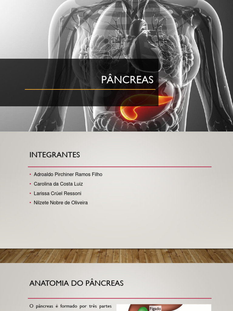 Anatomia - Pâncreas PDF | Download grátis PDF | Pâncreas ...