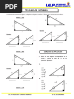 Ejercicios de Triangulos Notables | PDF | Geometría Elemental | Geometría triangular