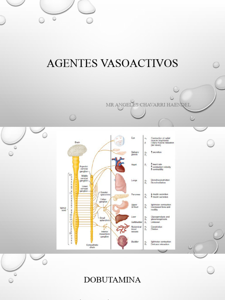Agentes Vasoactivos | Descargar gratis PDF | Dopamina | Enfermedades y ...