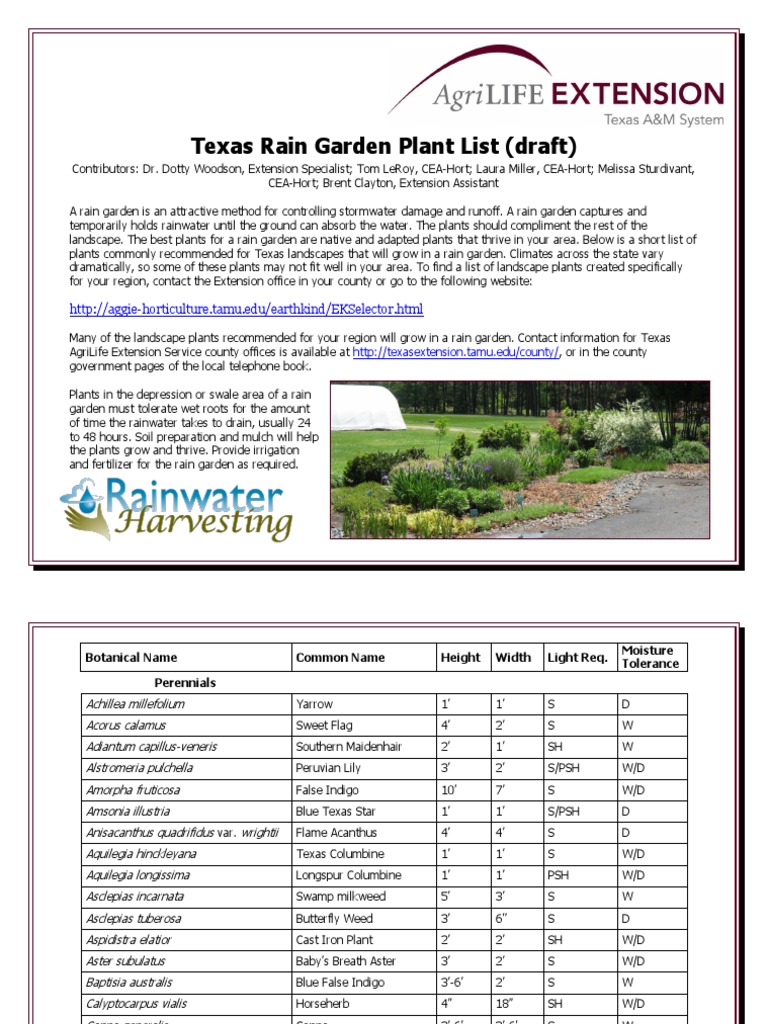 Texas Rain Garden Plant Guide | PDF | Gardens | Landscape Architecture