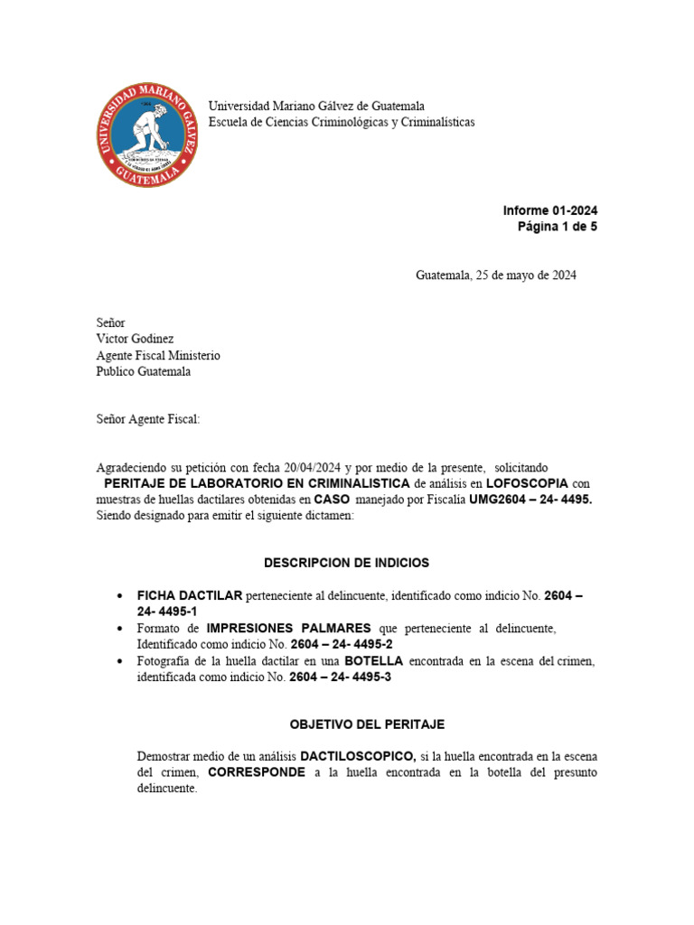 Dictamen Pericial Edwin 24 | PDF | Huella dactilar | Ciencia forense