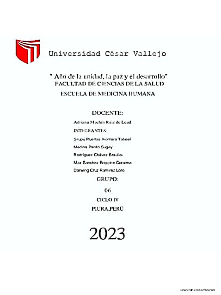 Informe 7 | PDF