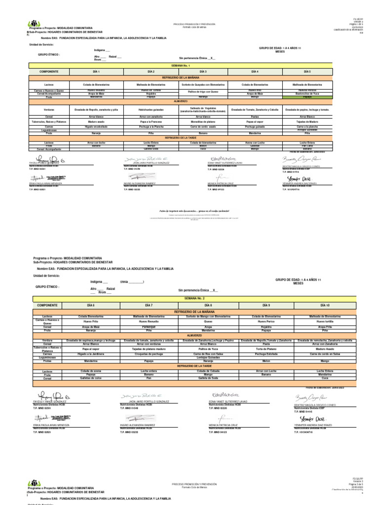 Copia de f2.g6.pp - Formato - Ciclo - de - Menus - v3 | Descargar ...