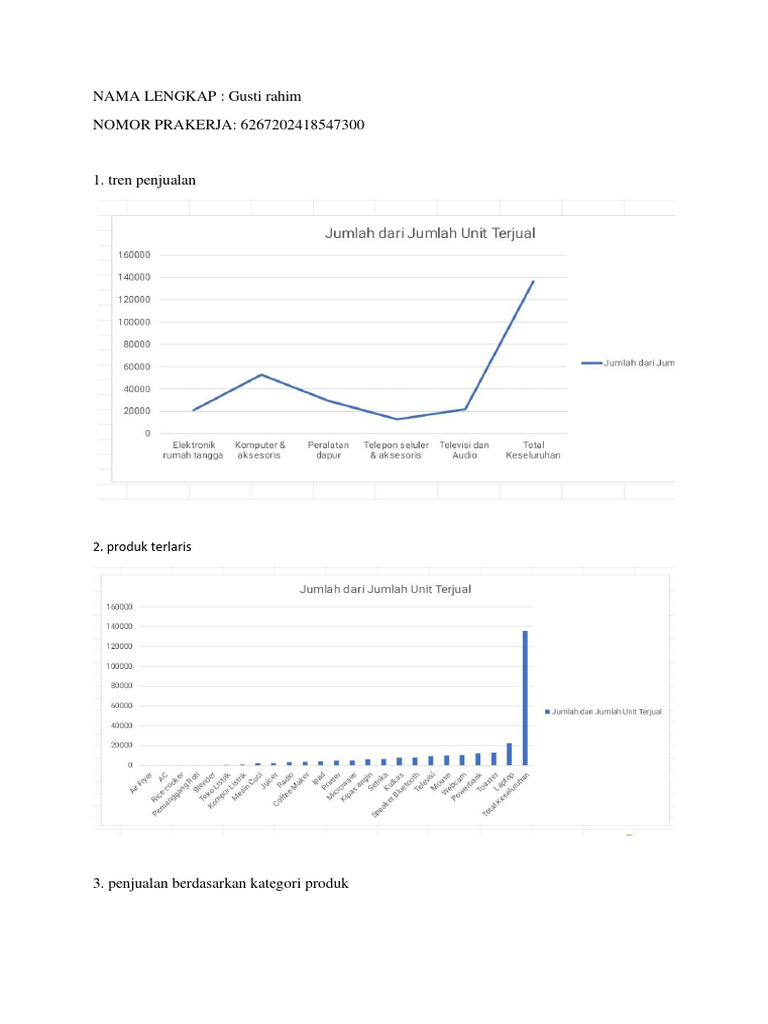 TPM 2 Membuat Visualisasi Data Dengan Pivot Chart (Gusti Rahim) | PDF