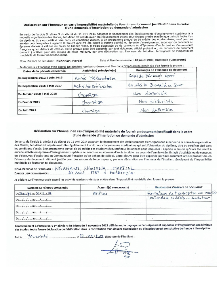 Déclaration Sur L'honneur | PDF