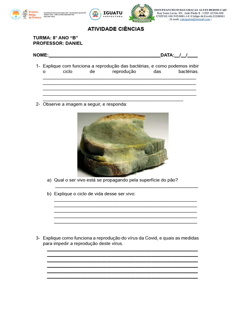 Atividade Extra Ciencias 8 Ano | PDF | Flores | Pólen