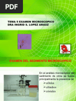 Examen Microscópico de Orina | PDF | Especialidades Medicas | Sistema ...
