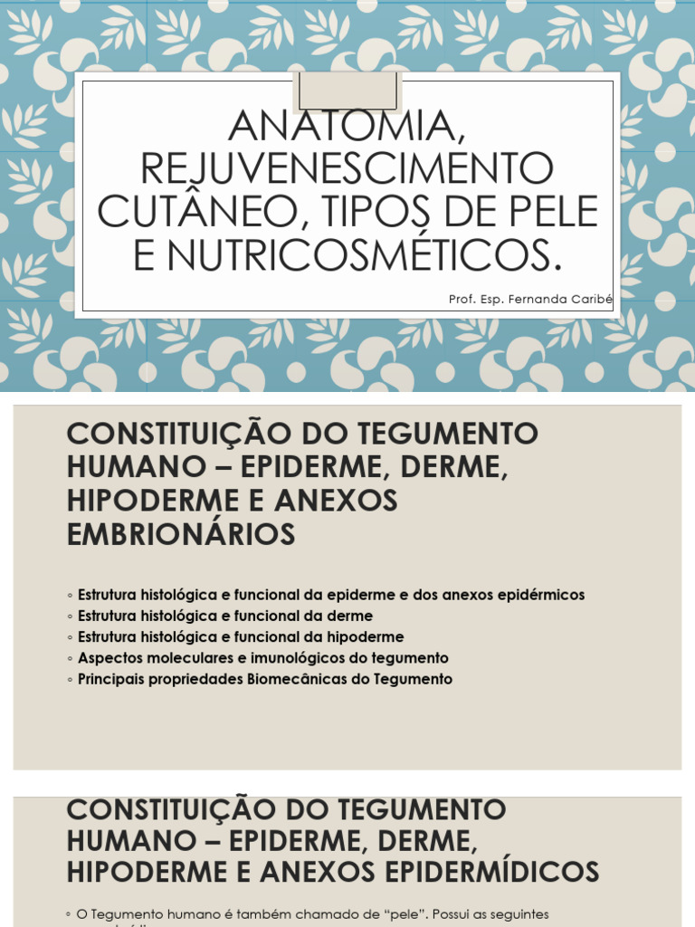 Anatomia, Rejuvenescimento Cutâneo, Tipos de Pele | PDF | Colágeno | Tecido conjuntivo