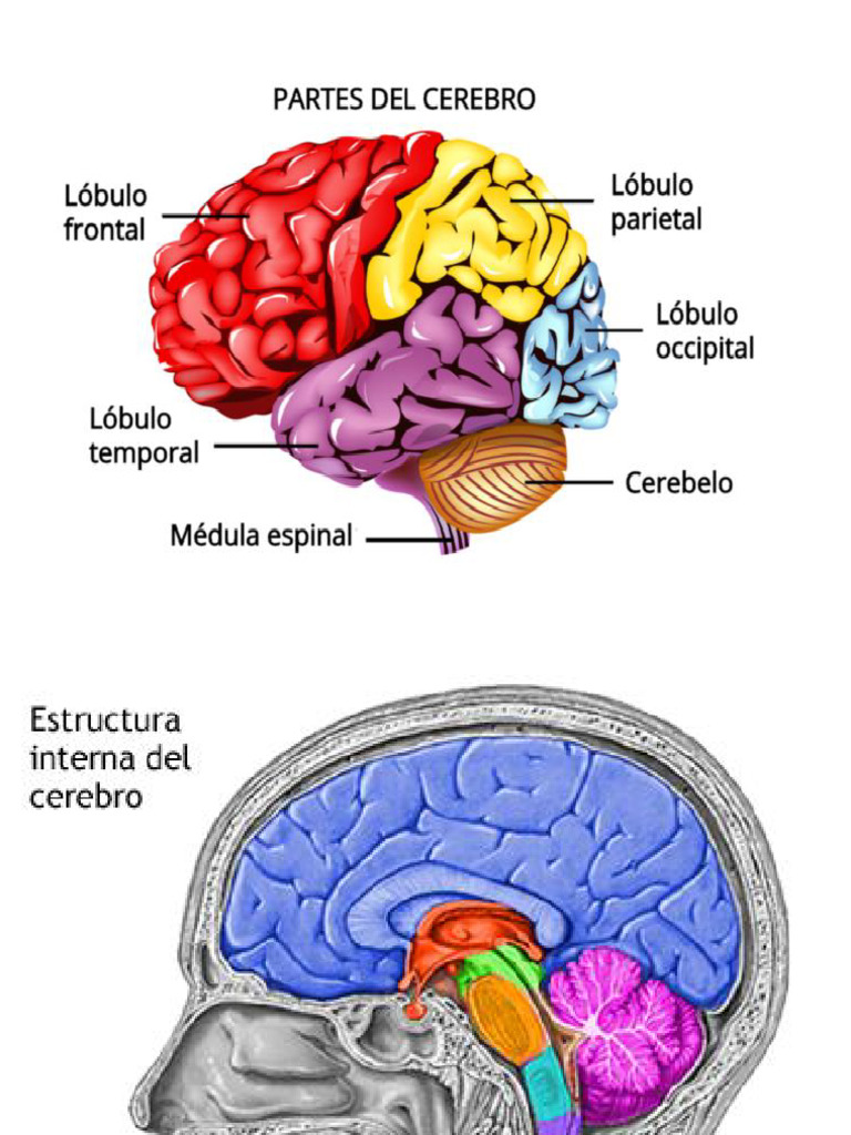 Doc2 Imagenes C | PDF