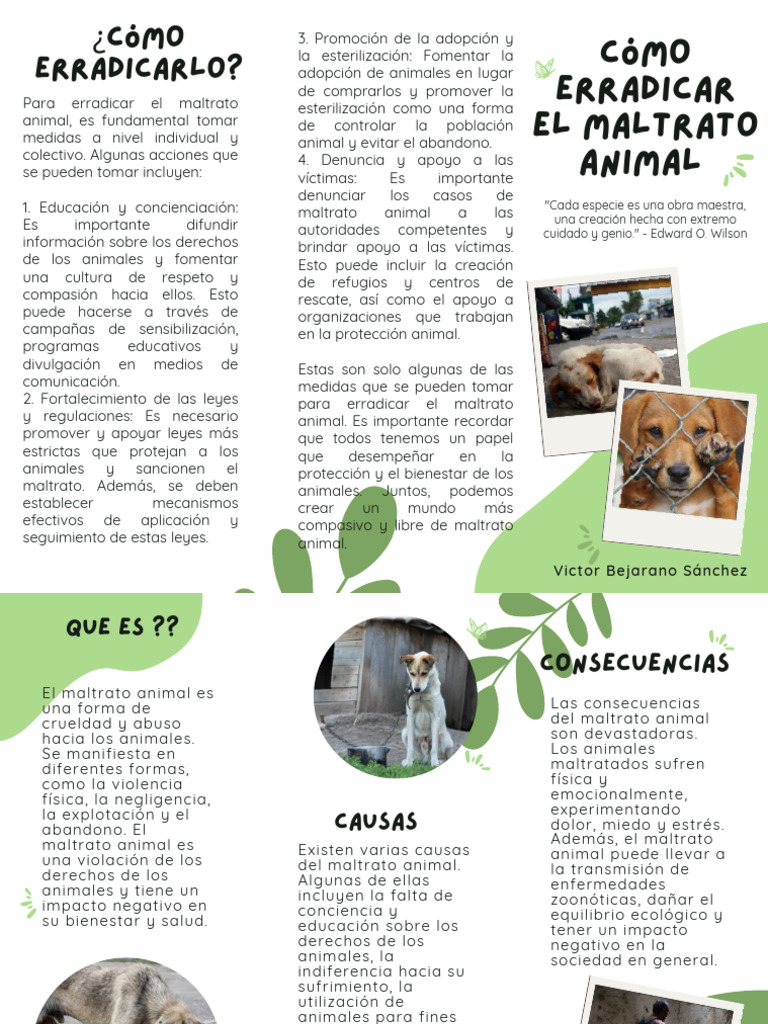 Triptico De Maltrato Infantil