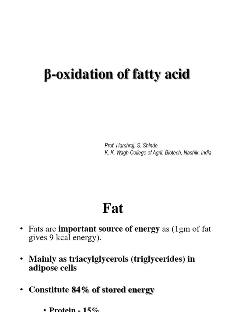 β-Oxidation of Fatty Acids Explained | PDF | Fat | Glycogen