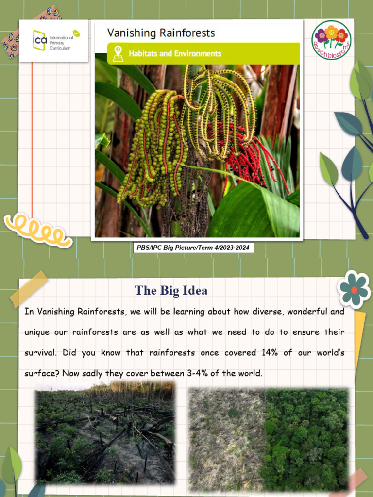 Vanishing Rainforest | PDF | Rainforest | Forests