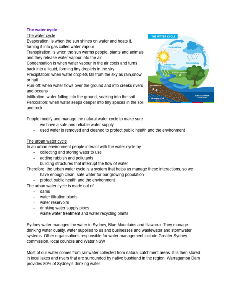 Y8 Science | PDF | Obesity | Water