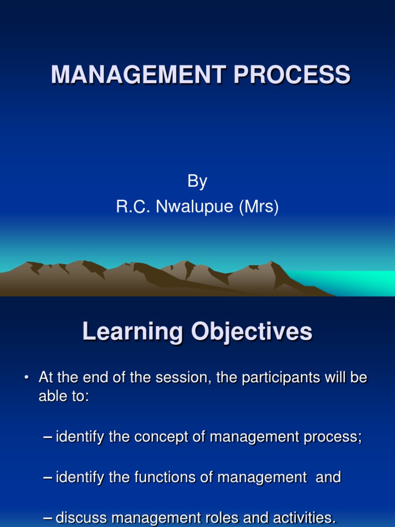 Understanding the Management Process | PDF | Leadership | Resource