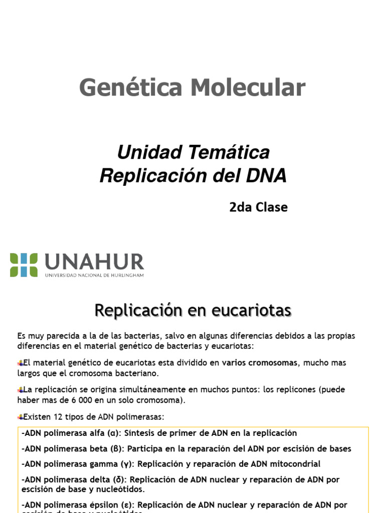 Replicacion en Eucariotas-UNAHUR | PDF | Telómero | Ciclo celular