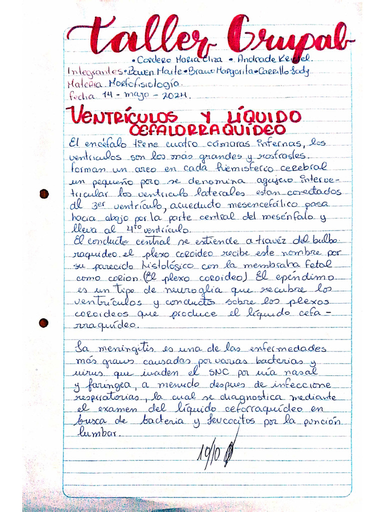 Taller de Morfo II | PDF