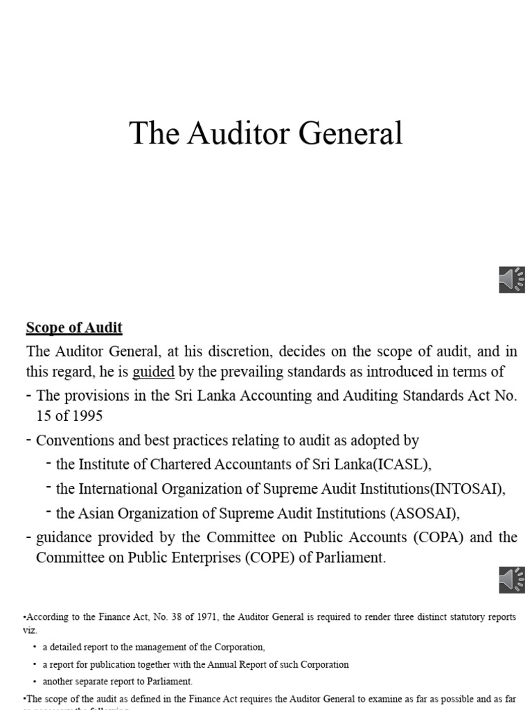 Auditor General's Audit Scope and Reports | PDF | Audit | Government
