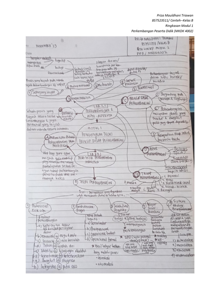 (Modul 1) Peta Konsep-Resume PPD | PDF
