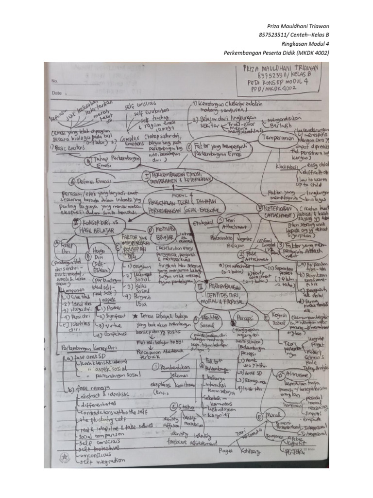 (Modul 4) Peta Konsep-Resume PPD - Priza M Triawan 857523511 | PDF