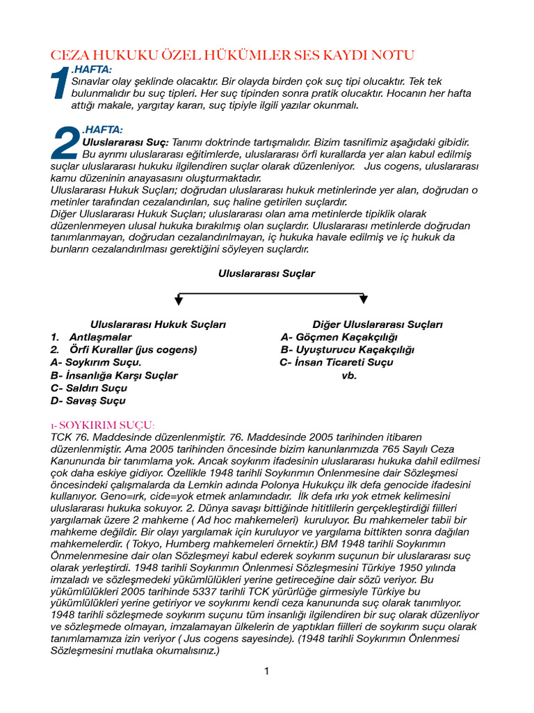 Ceza Özel Not | PDF