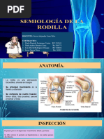 Maniobras para Evaluar la Rodilla | PDF | Rodilla | Anatomía humana